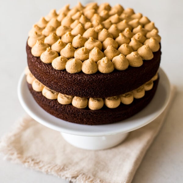 Chocolate Layer Cake with Creamy Peanut Butter Frosting - The Beach ...