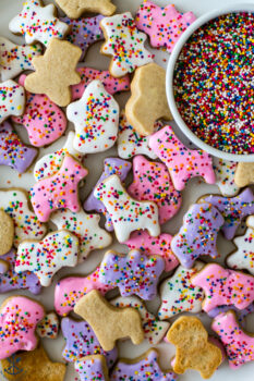 Homemade Animal Cookies - The Beach House Kitchen