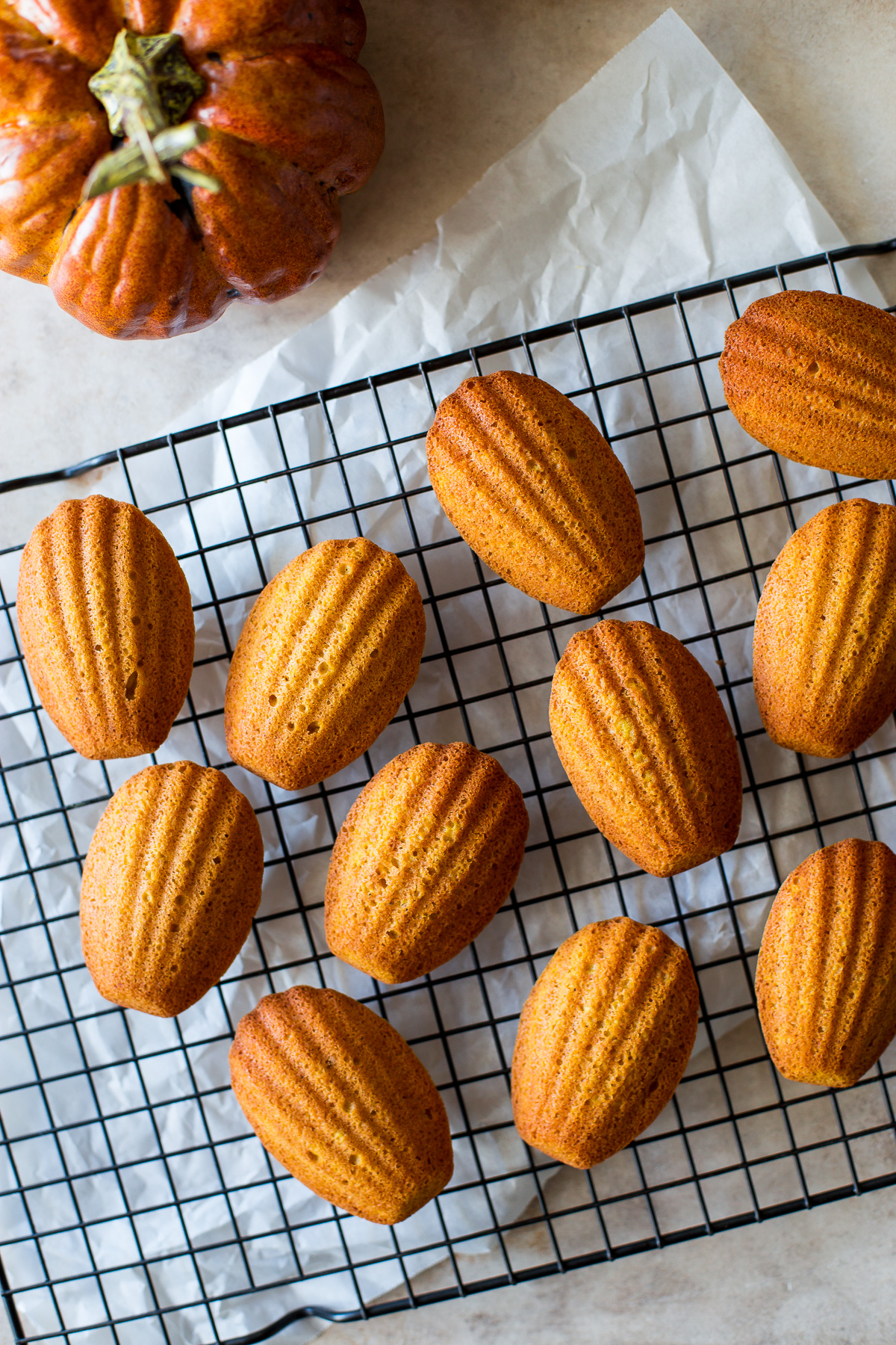 Pumpkin Madeleines - The Beach House Kitchen